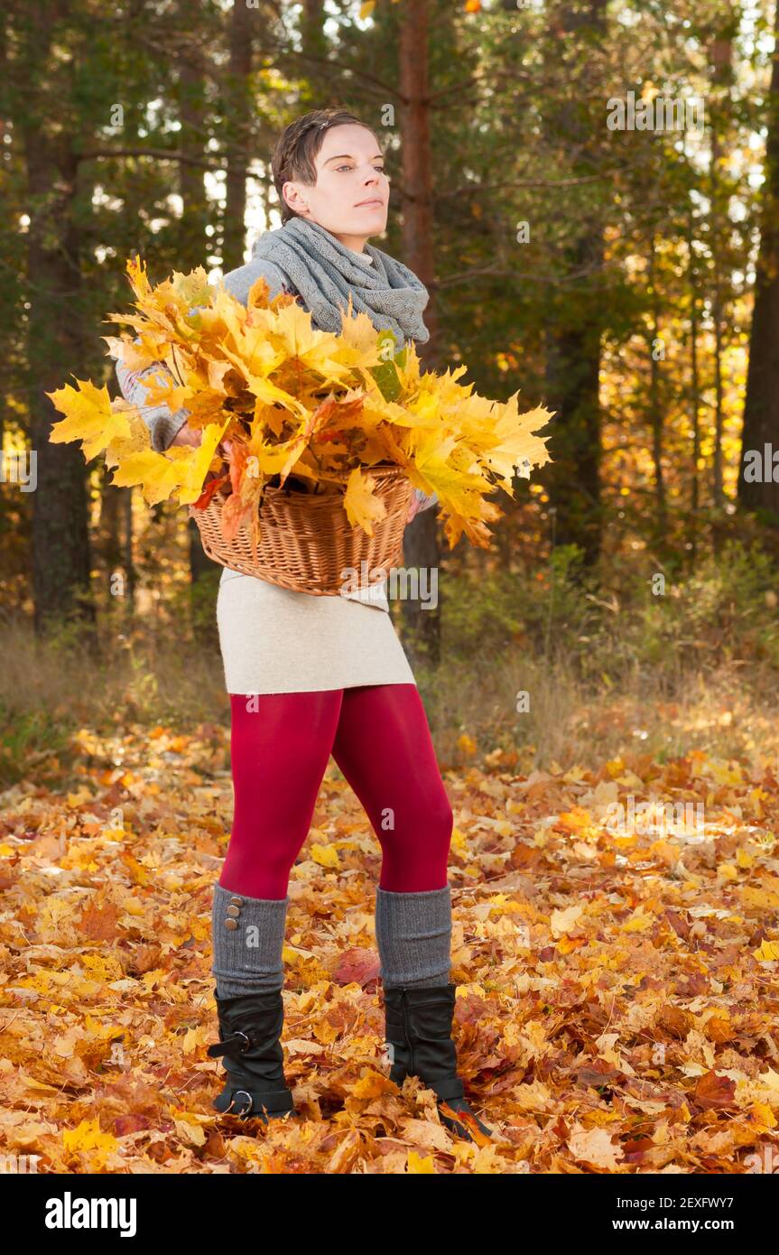 Vibrant display of autumn leaves hi-res stock photography and images ...