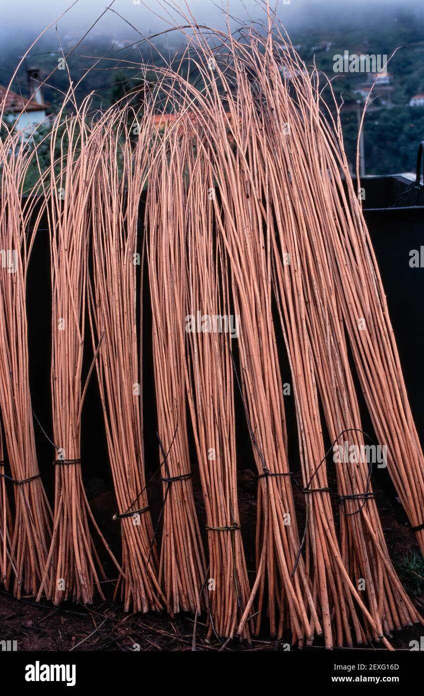 Basketry High Resolution Stock Photography and Images - Alamy