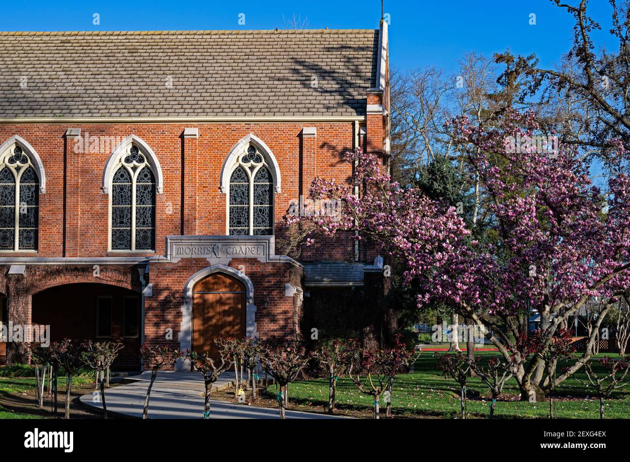 University of pacific uop hi-res stock photography and images - Alamy