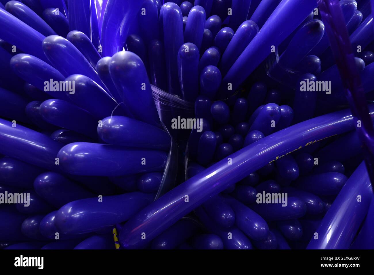 Some of the twenty-five thousand balloons prepared by mbers of the ...