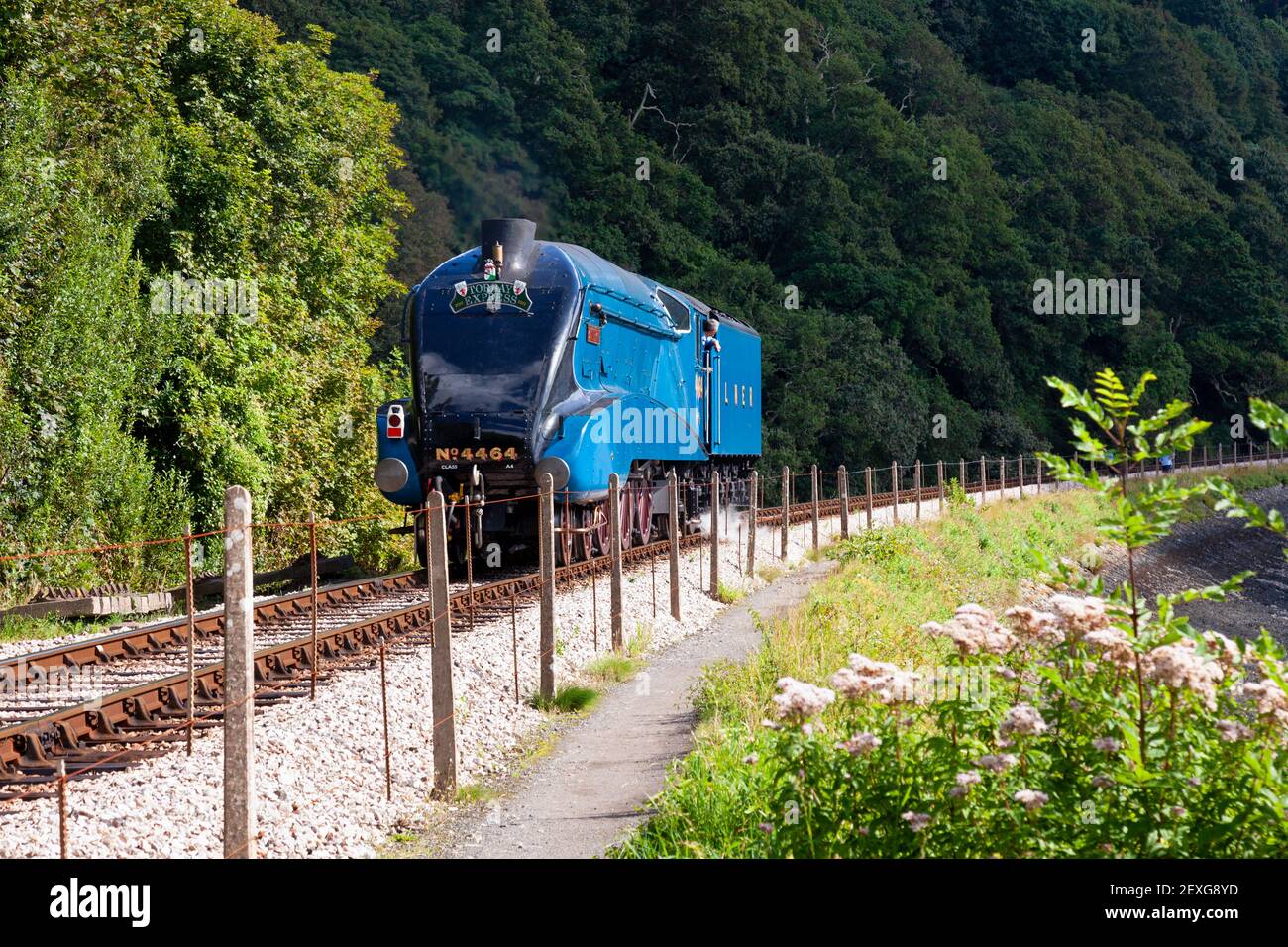 England, Devon, LNER A4 Pacific 'Bittern' visiting Kingswear Station on ...