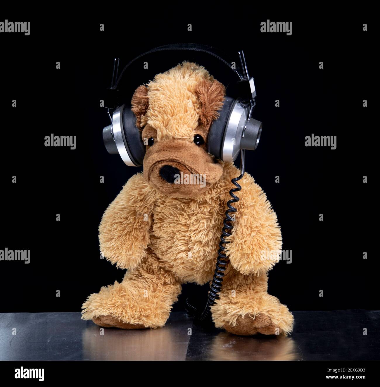 Dog with teddy hi-res stock photography and images - Alamy