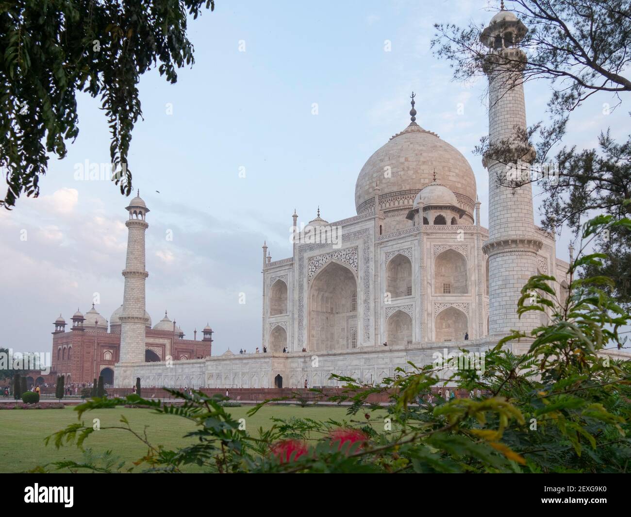 Taj mahal framed trees hi-res stock photography and images - Alamy