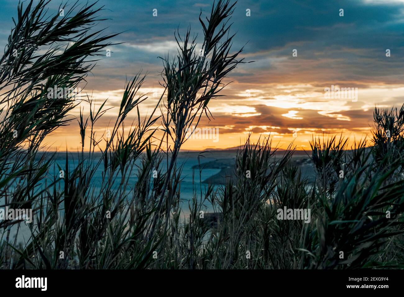 A beautiful scenery of a field of grass by the sea at sunset Stock ...