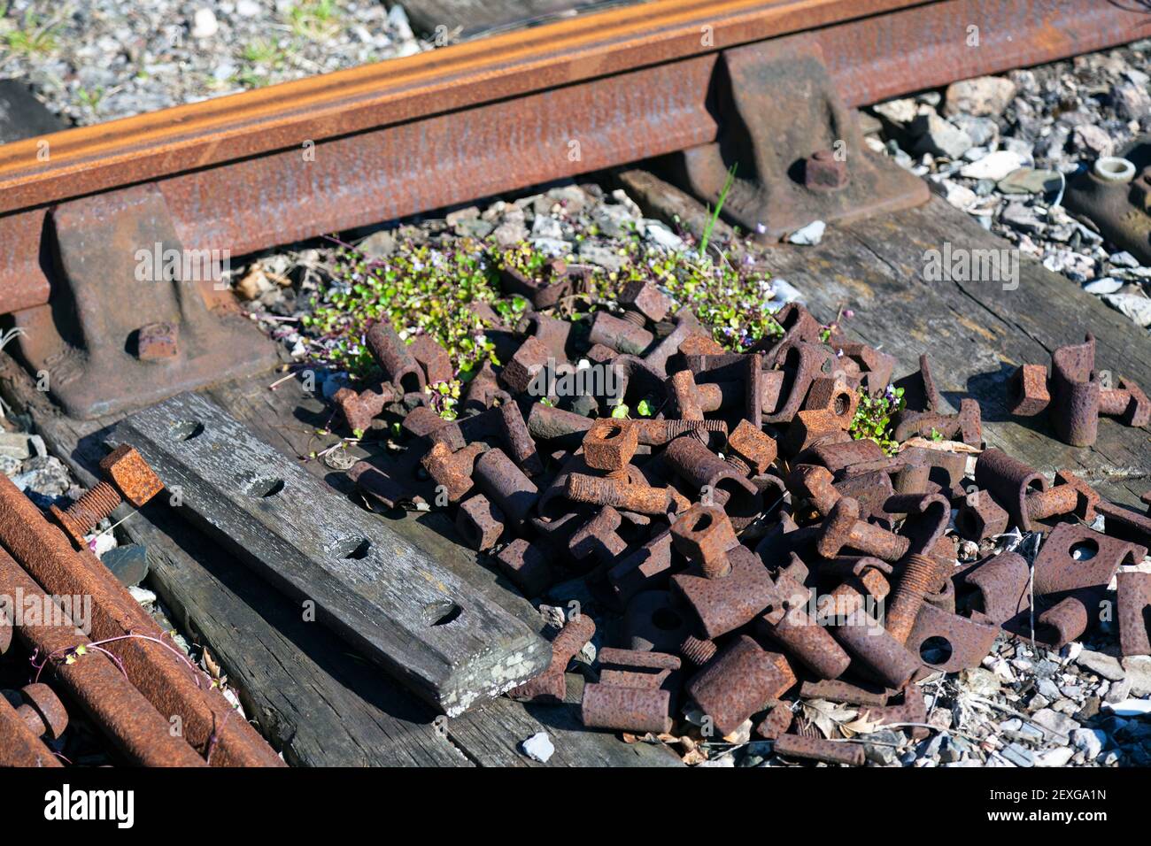 England, Devon, Kingswear, Detail of Bullhead rails with discarded ...