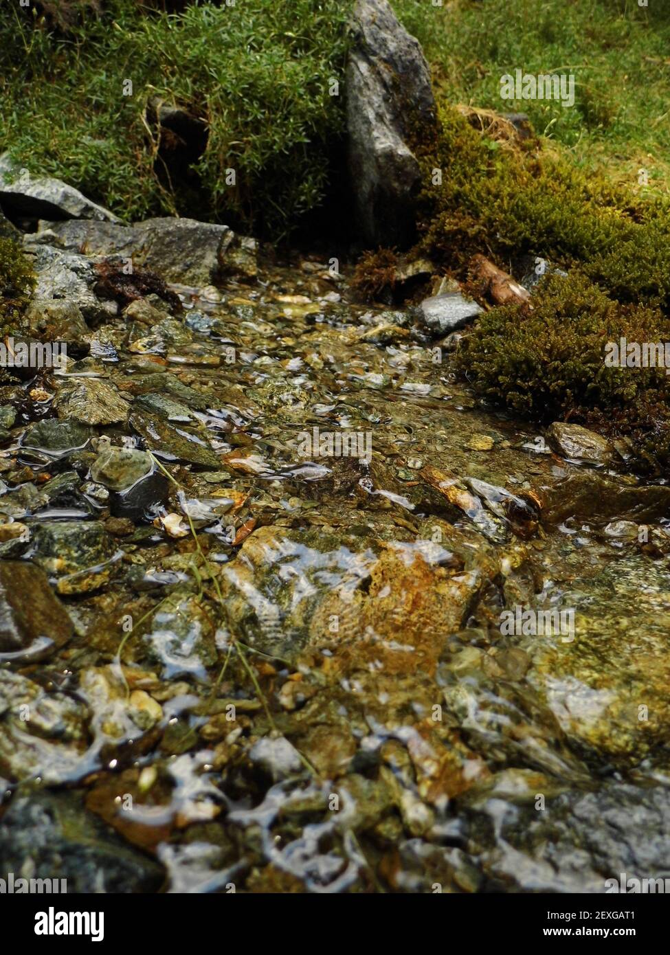 Closeup natural spring water hi-res stock photography and images - Alamy