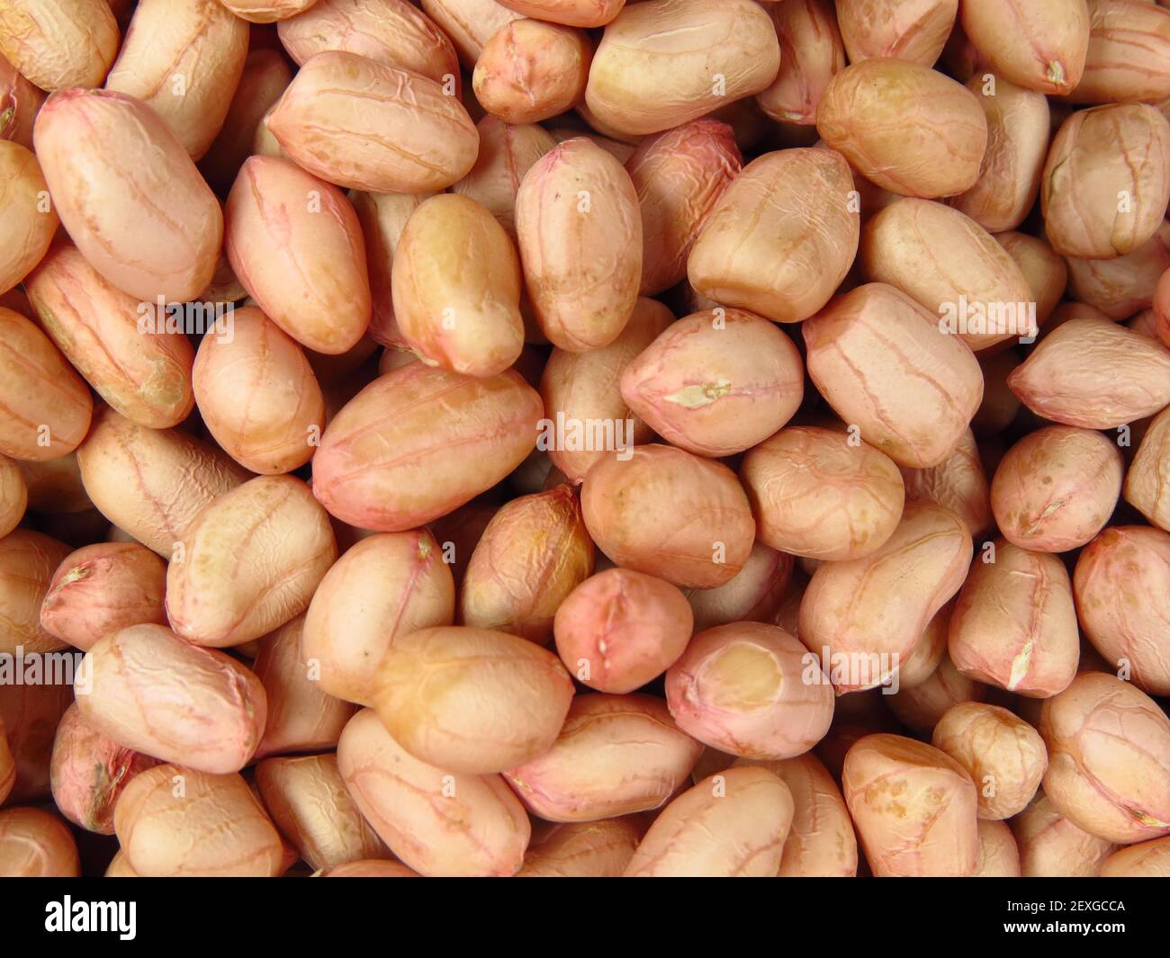 A top view of a group of ripe peanuts Stock Photo - Alamy