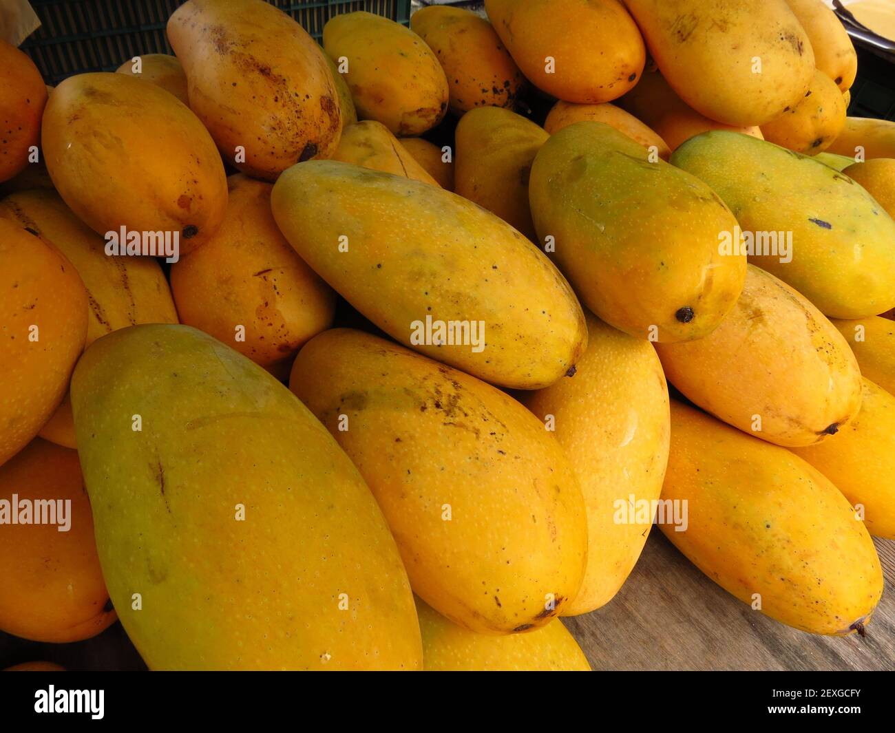 Big mangoes hi-res stock photography and images - Alamy