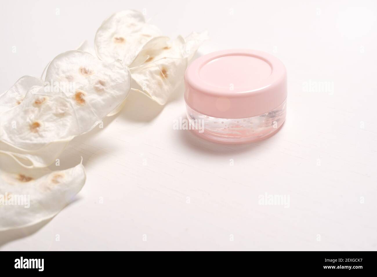 Closeup of jar of face creamwith white dryed flower flower on white ...