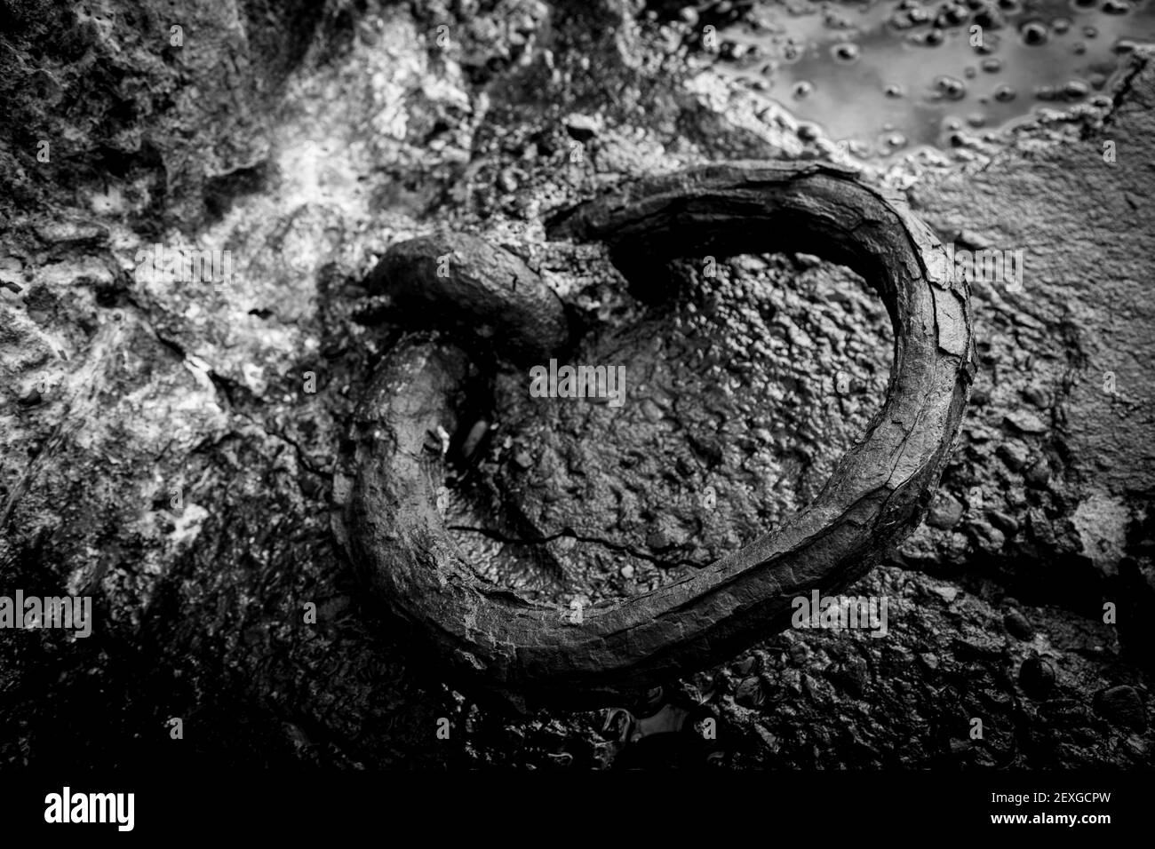 Macduff Black and White Stock Photos & Images - Alamy