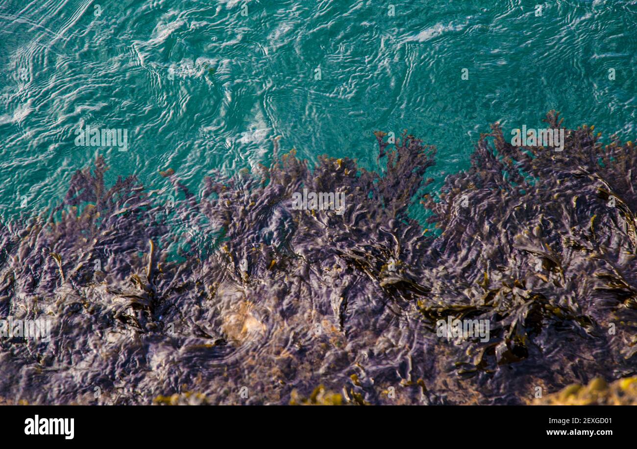 Fishing nets boats macduff hi-res stock photography and images - Alamy