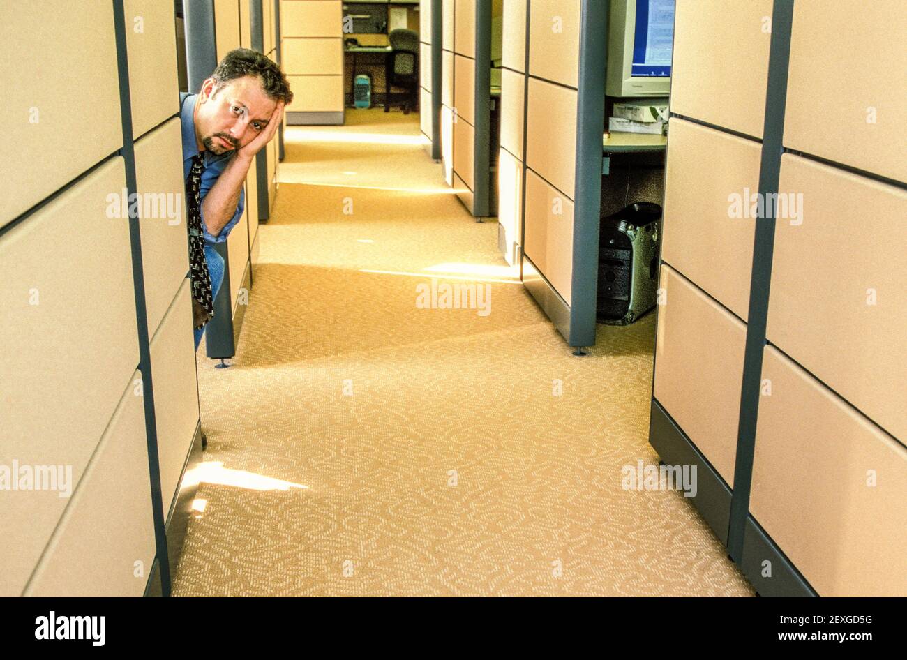 Are Cubicle Jobs Boring at Darcy Ryan blog