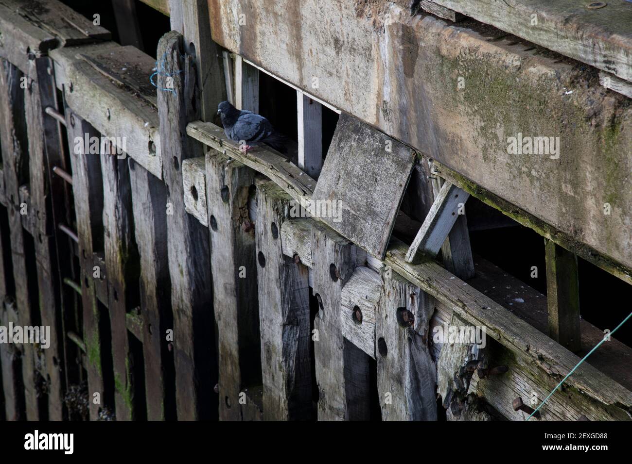 Fishing nets boats macduff hi-res stock photography and images - Alamy