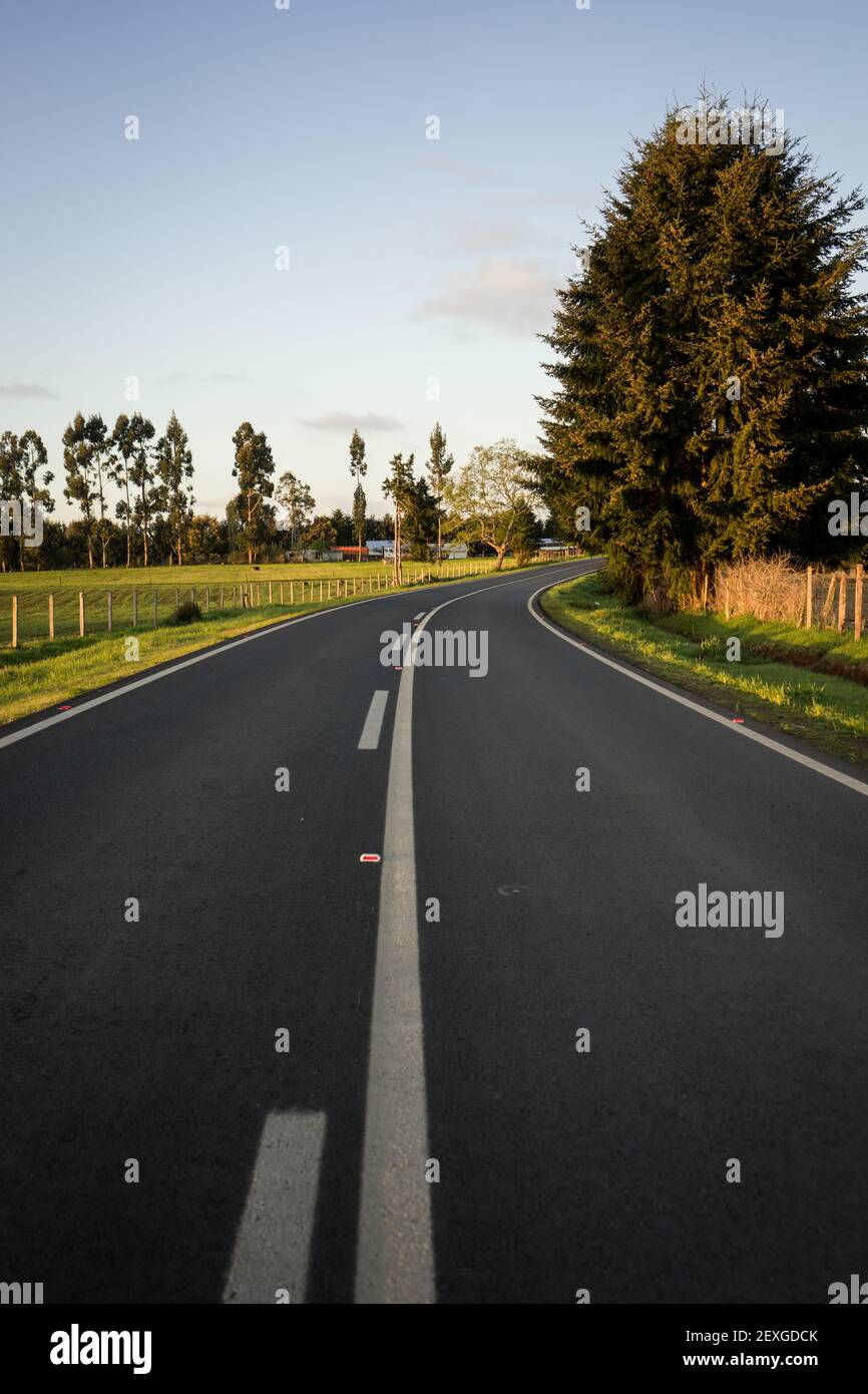 A vertical shot of an asphalt road with green field and trees under the ...