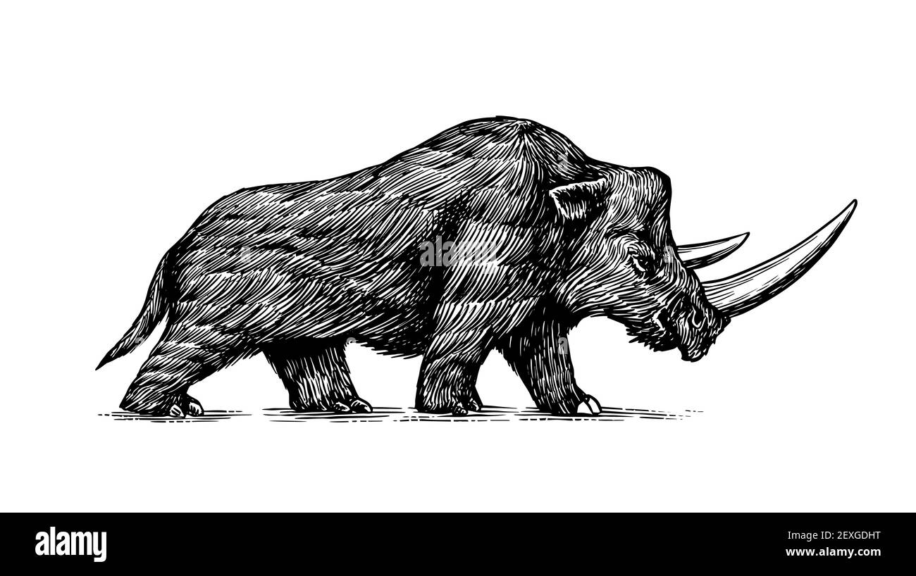 Woolly rhinoceros. Extinct animal. Ice Age. Vintage retro vector ...