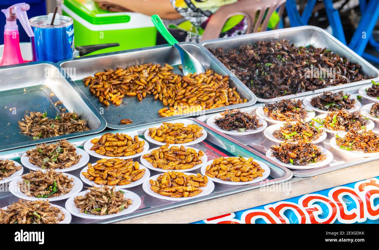 A market with various types of edible insect Stock Photo - Alamy