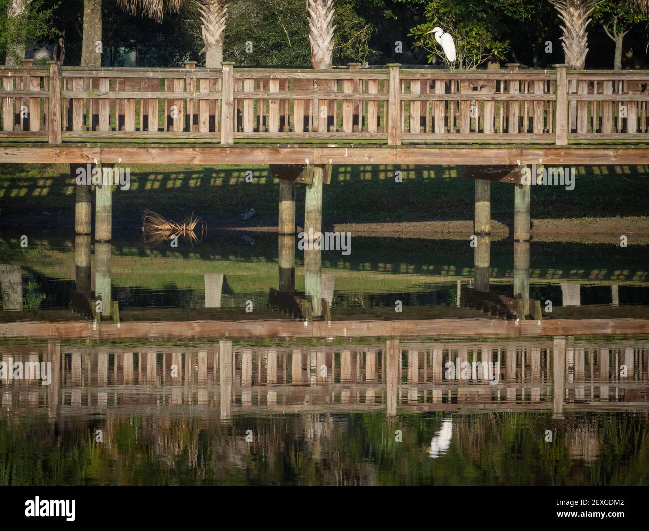 Wooden walking trail in a landscape Stock Photo - Alamy