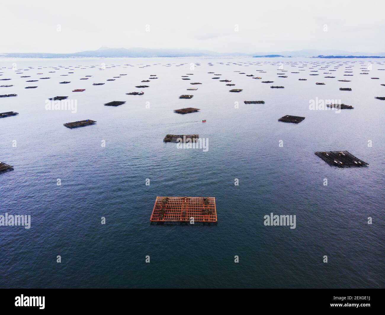 Aerial of mussel aquaculture hi-res stock photography and images - Alamy
