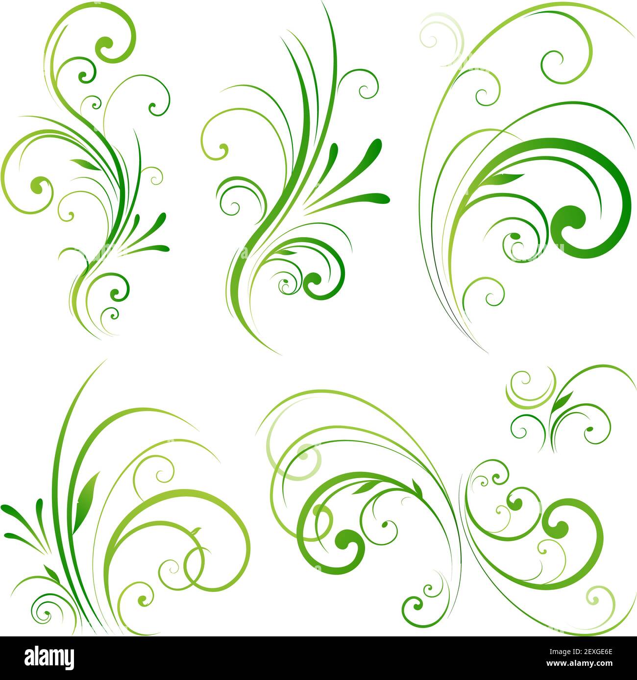 Decorative swirls hi-res stock photography and images - Alamy