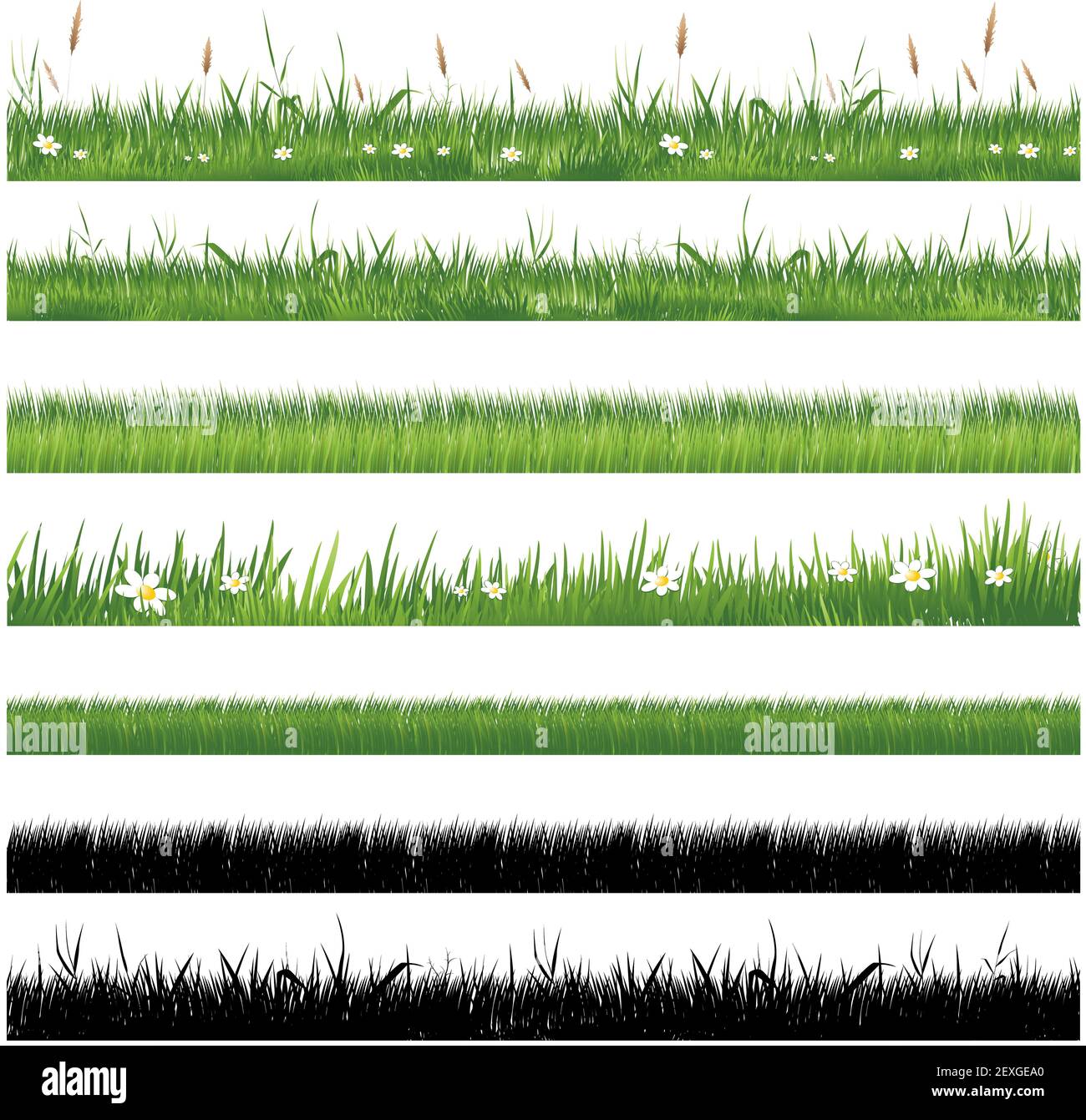 Green grass collection Stock Photo - Alamy