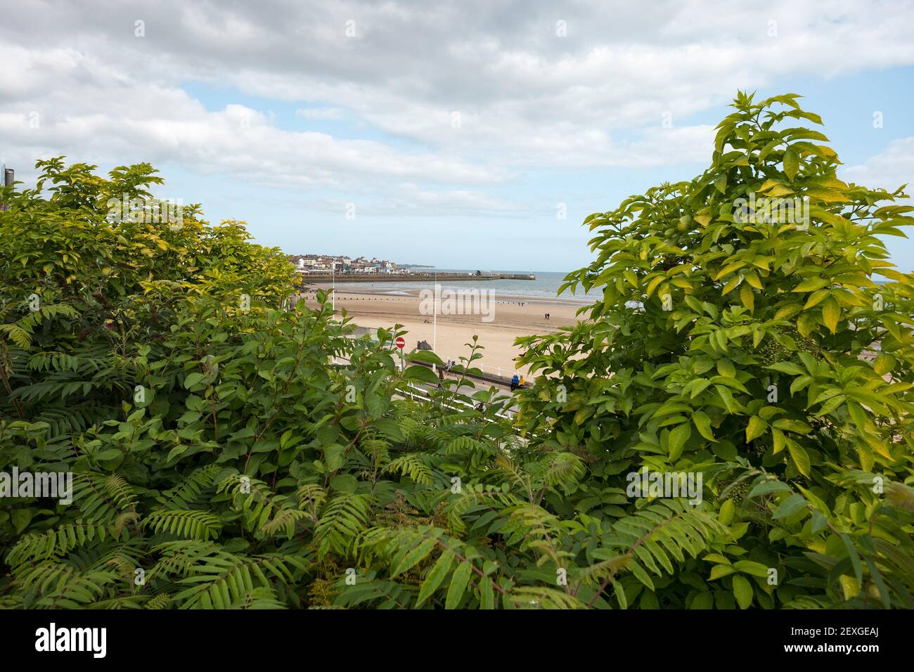 Seaside resort seen behind foliage Stock Photo - Alamy