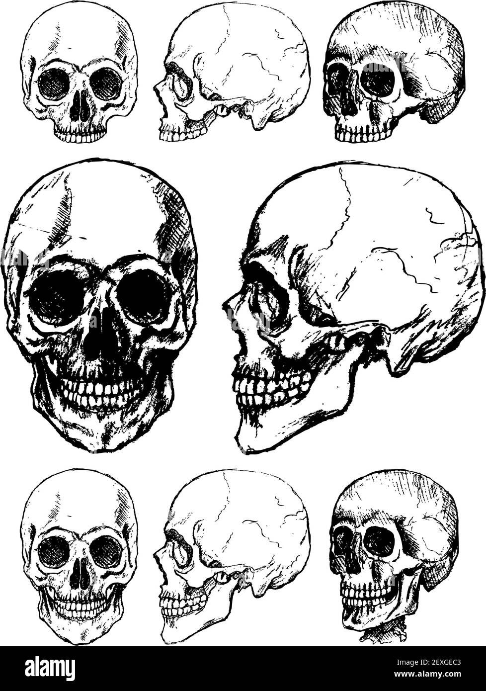 Cool design Cut Out Stock Images & Pictures - Alamy