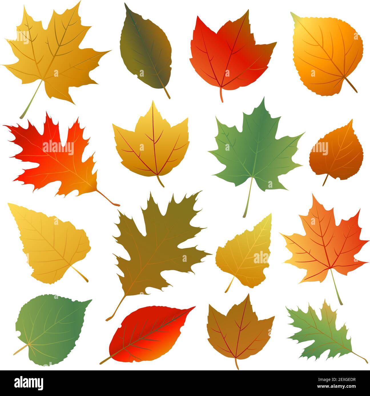 Orange autumn leaves halloween Cut Out Stock Images & Pictures - Alamy