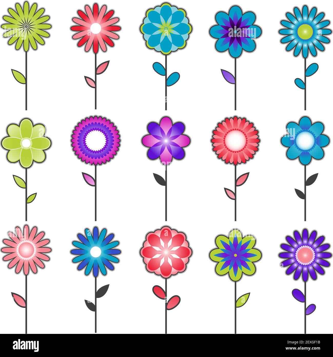 Plant graphic collection Cut Out Stock Images & Pictures - Alamy