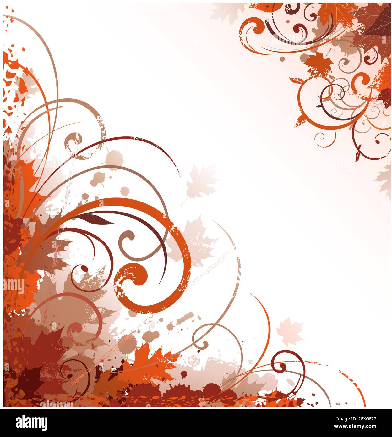 Floral autumn design Stock Photo - Alamy