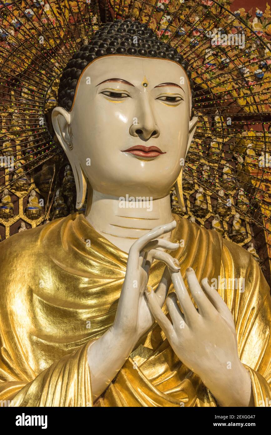 Moe hi-res stock photography and images - Alamy