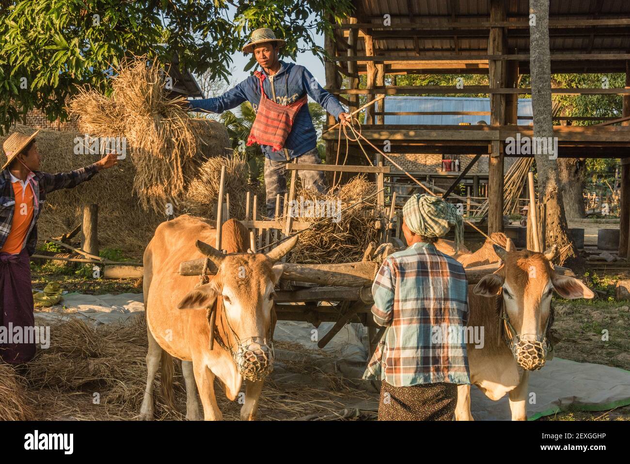 Traditional burmese house hi-res stock photography and images - Alamy