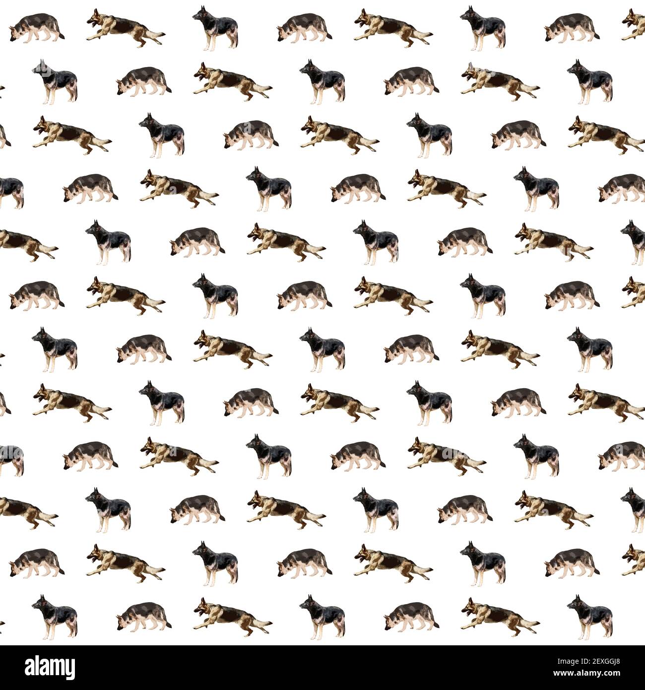 German Shepherd Pattern Stock Photo - Alamy