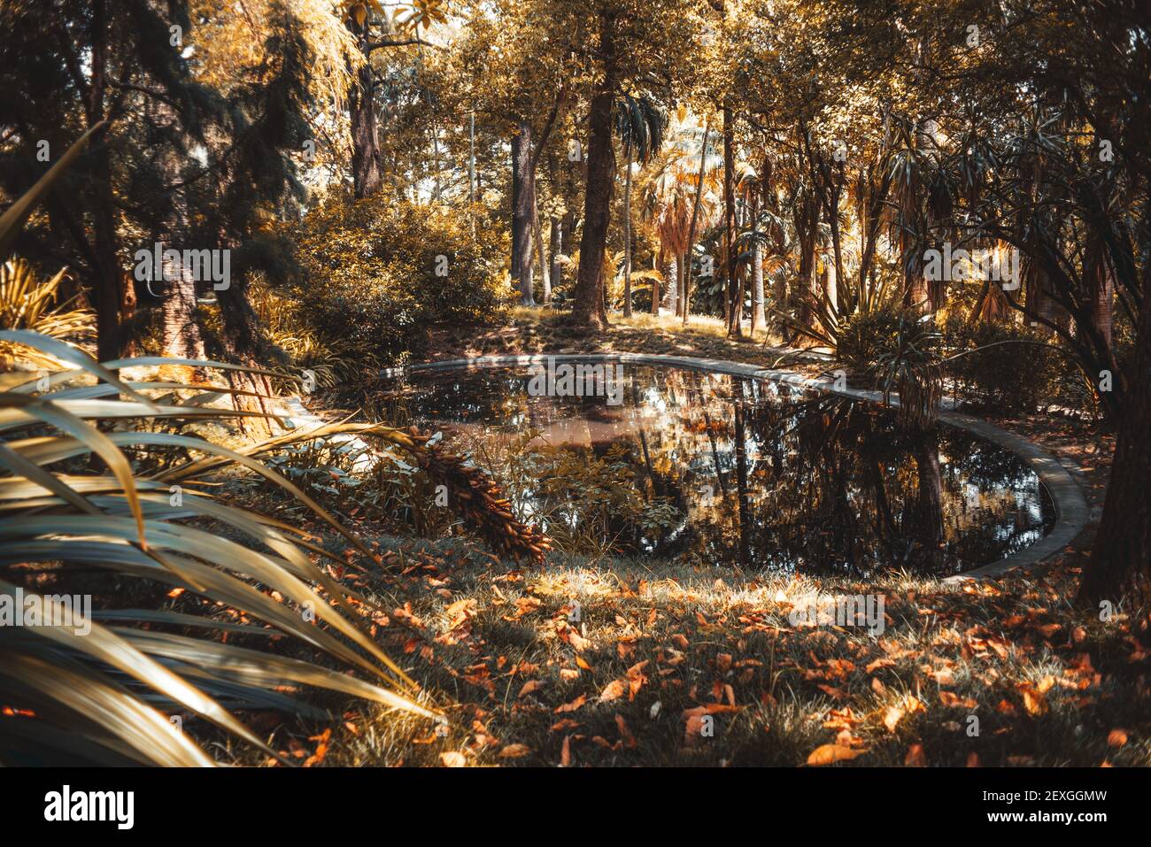 A dark pond with spots of sunlight in a city park with calm water ...