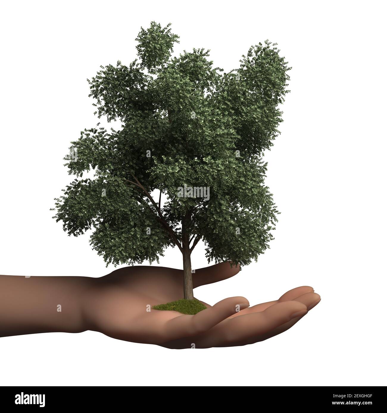 Human planting tree environment Cut Out Stock Images & Pictures - Alamy