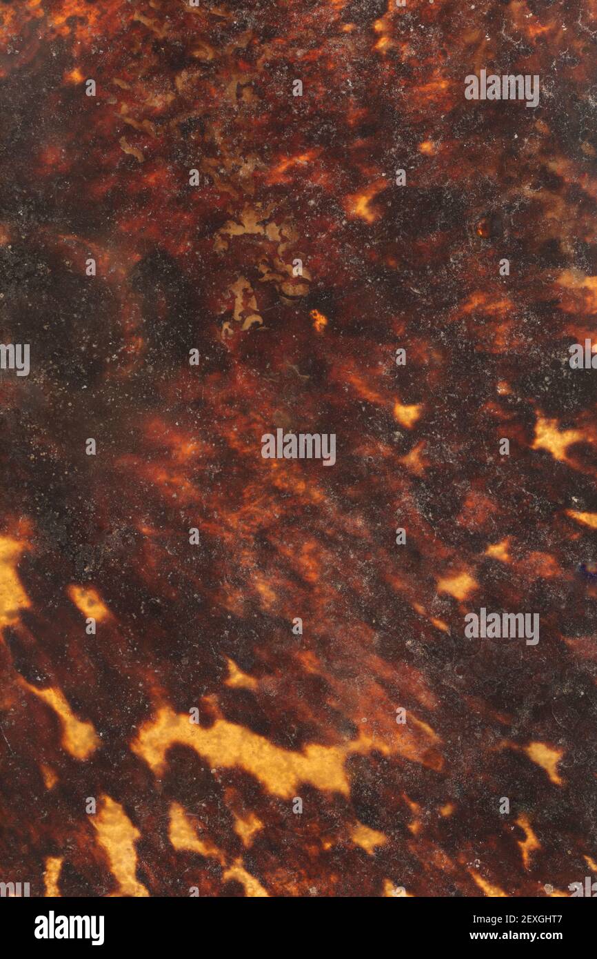 Turtle shell texture for backgrounds Stock Photo - Alamy