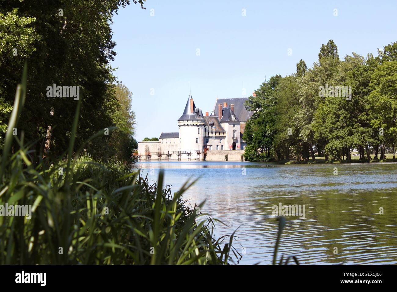 Castles tree hi-res stock photography and images - Alamy