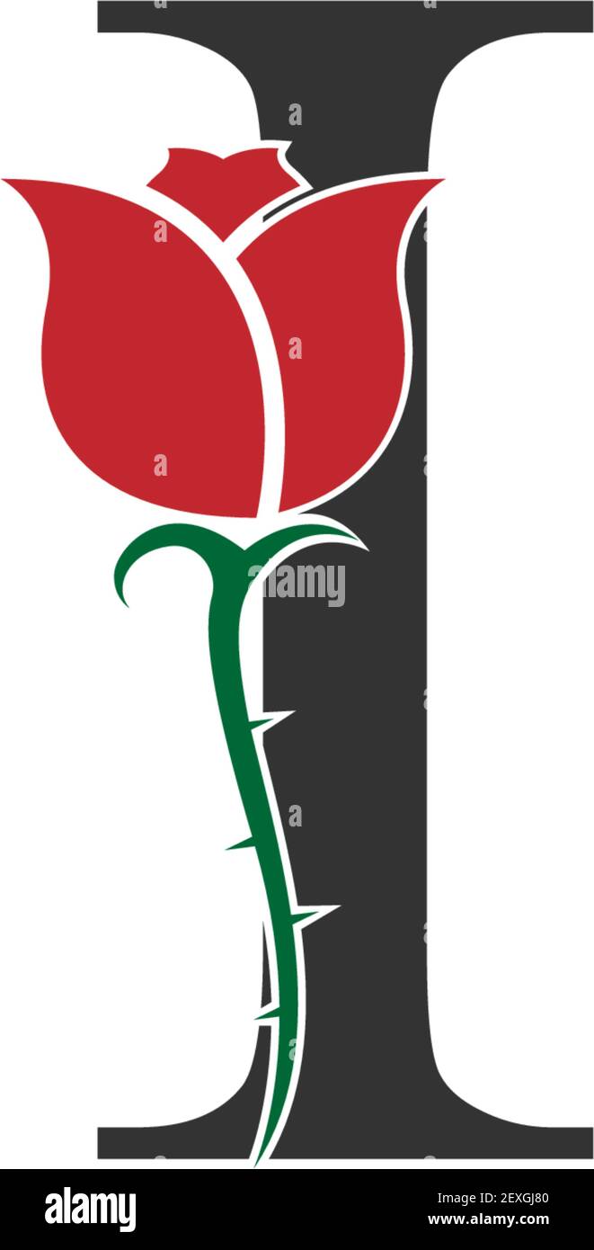 Letter I logo icon with rose design vector illustration Stock Vector ...