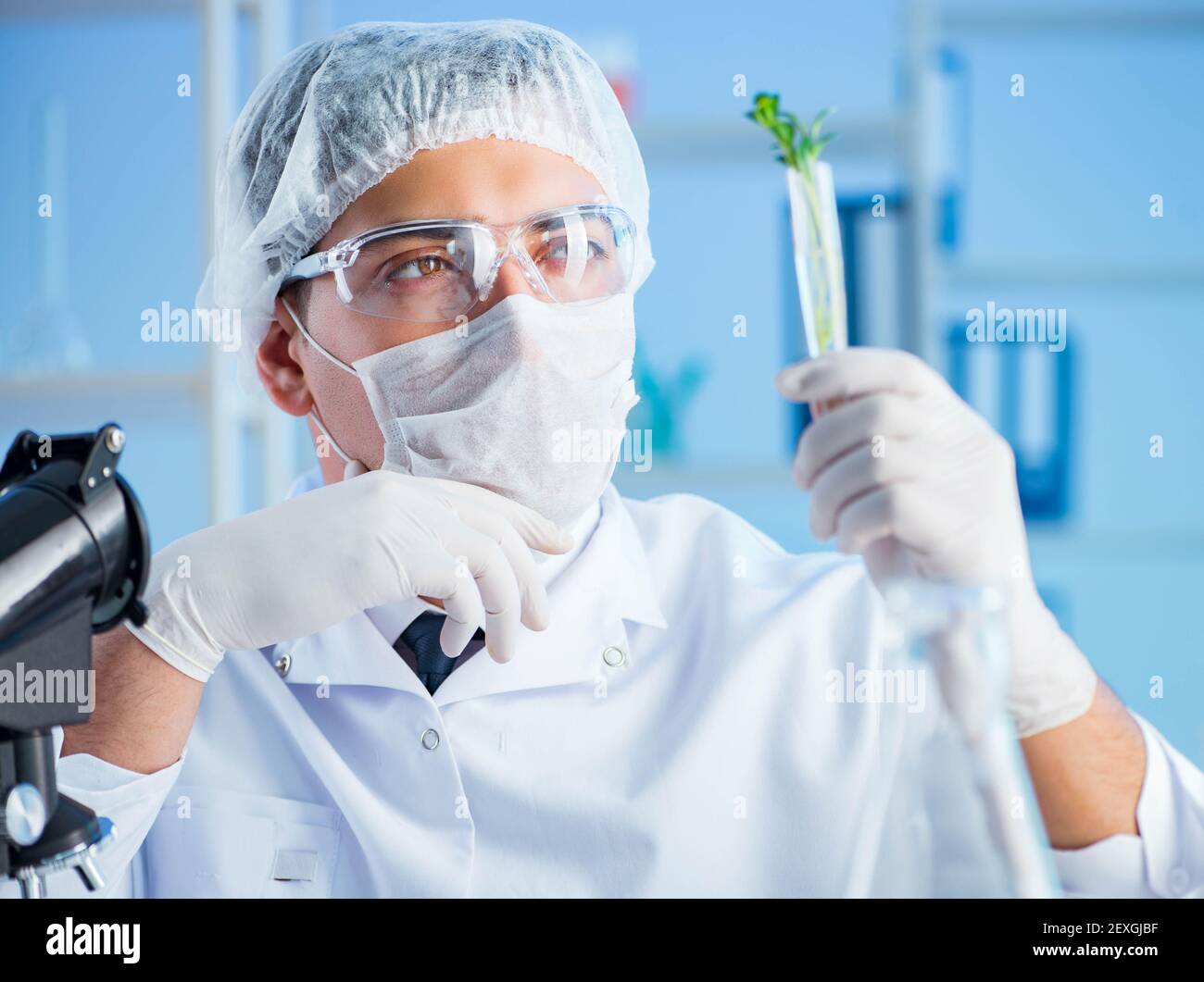 The biotechnology concept with scientist in lab Stock Photo - Alamy