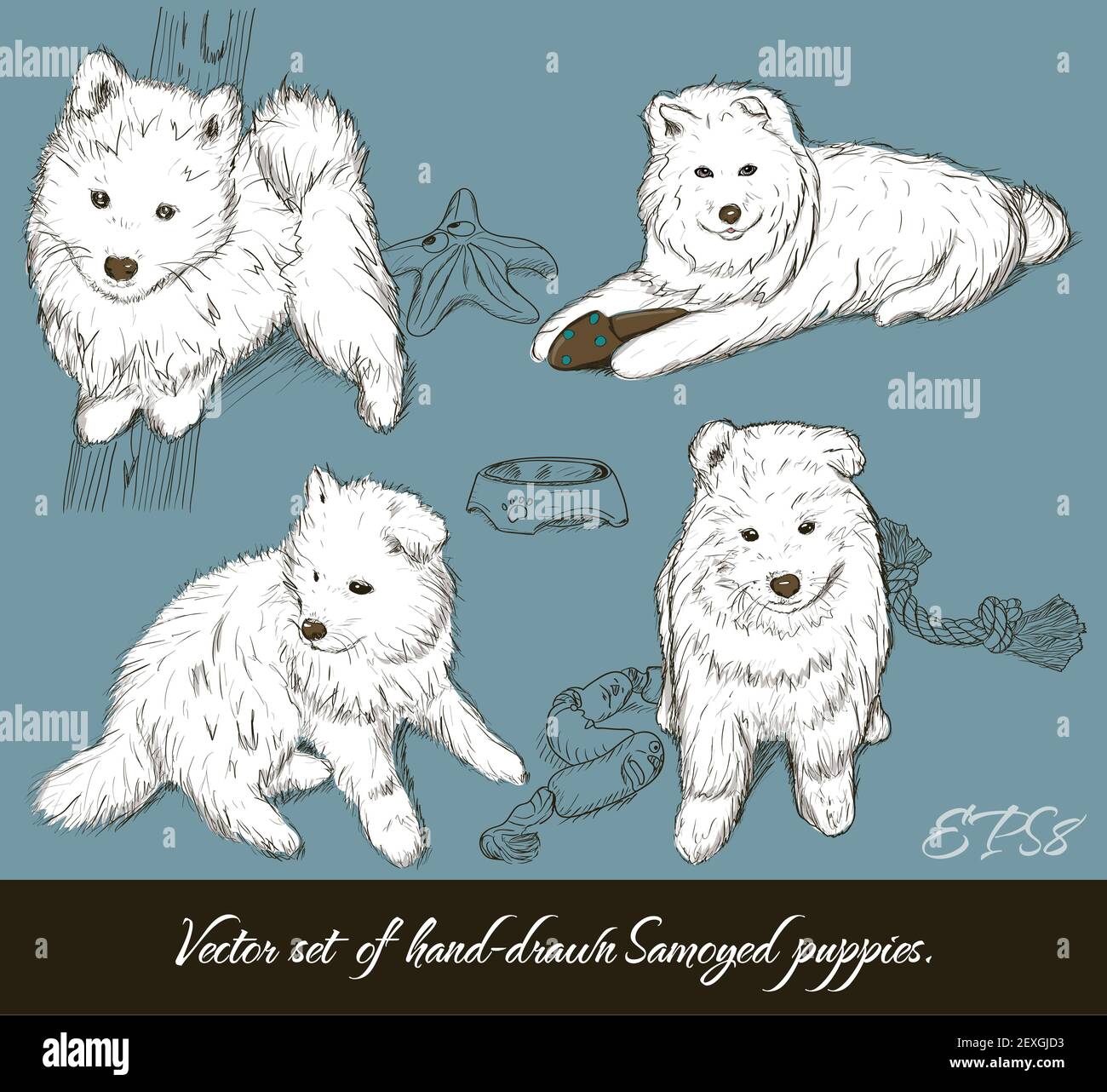 Vintage set with samoyed puppies Stock Photo - Alamy