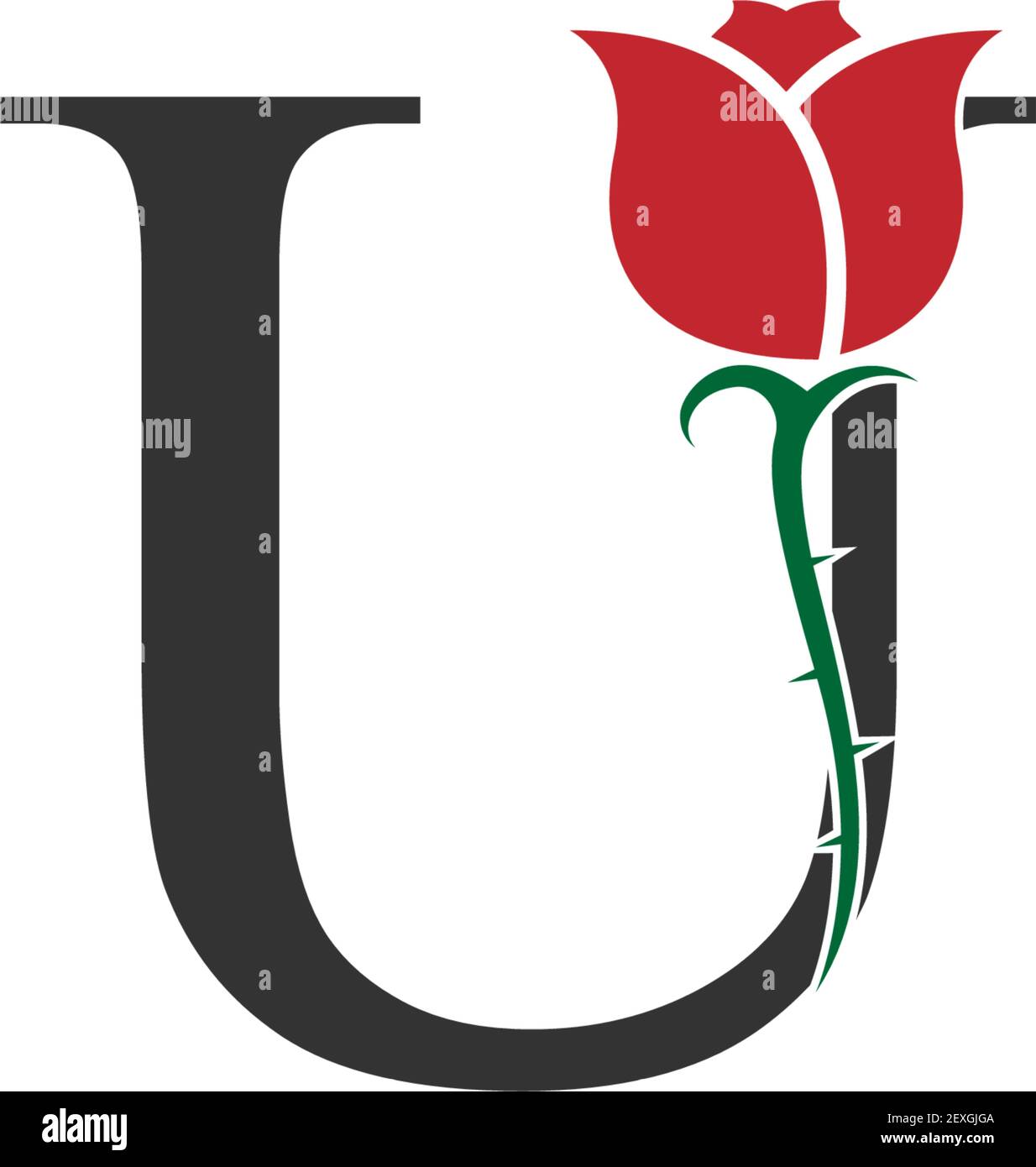 Letter U logo icon with rose design vector illustration Stock Vector ...