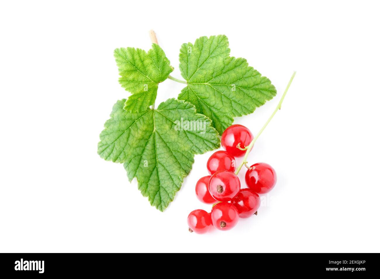 Close up green currants hi-res stock photography and images - Alamy