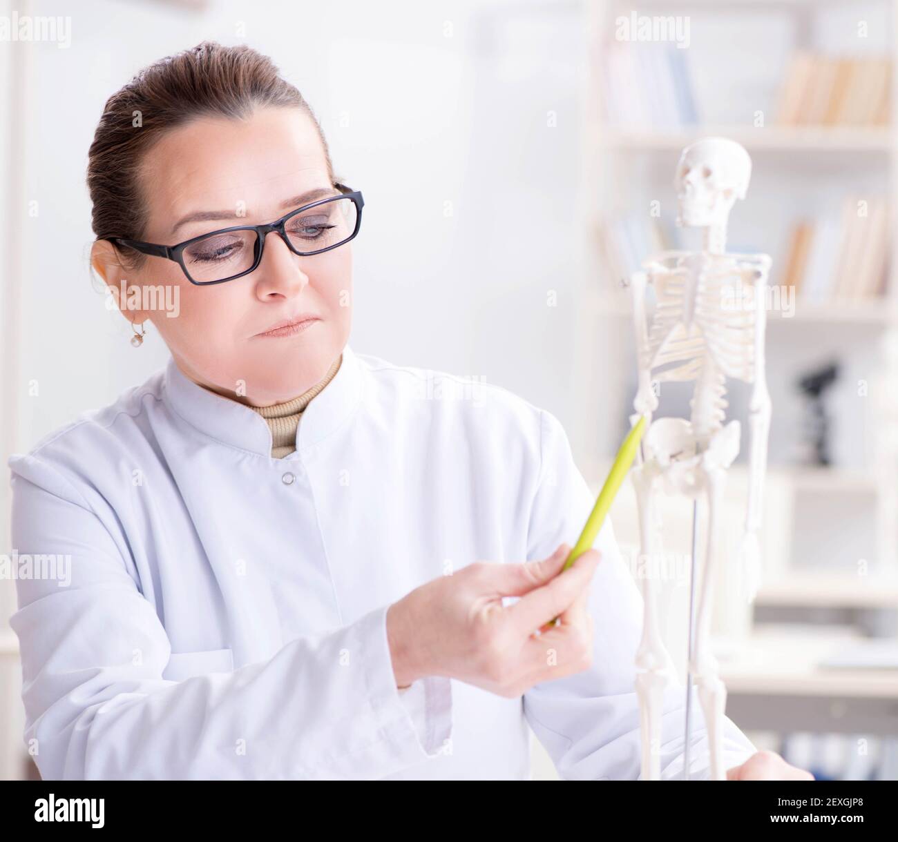 The woman doctor studying human skeleton Stock Photo - Alamy