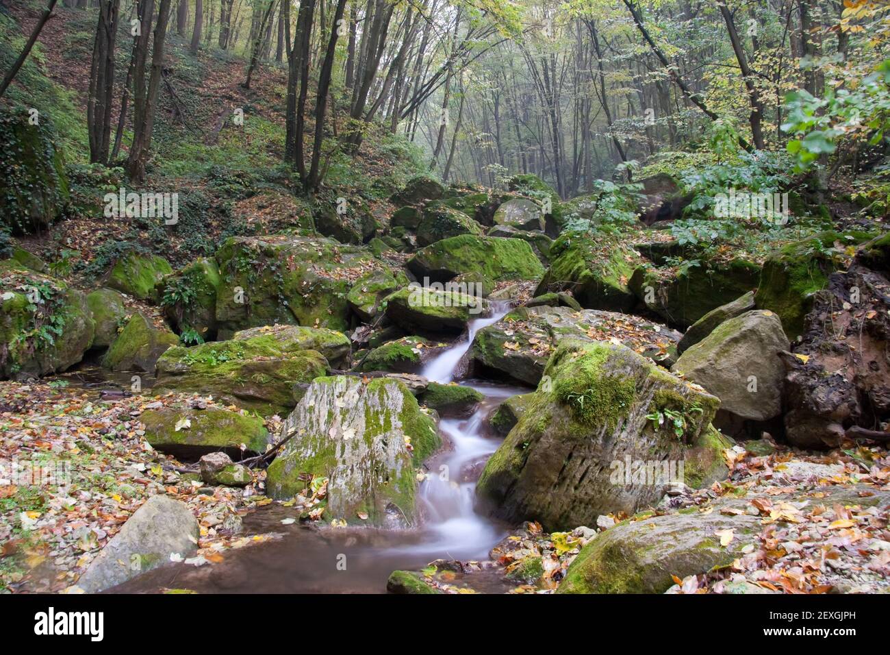 Falling brook hi-res stock photography and images - Alamy
