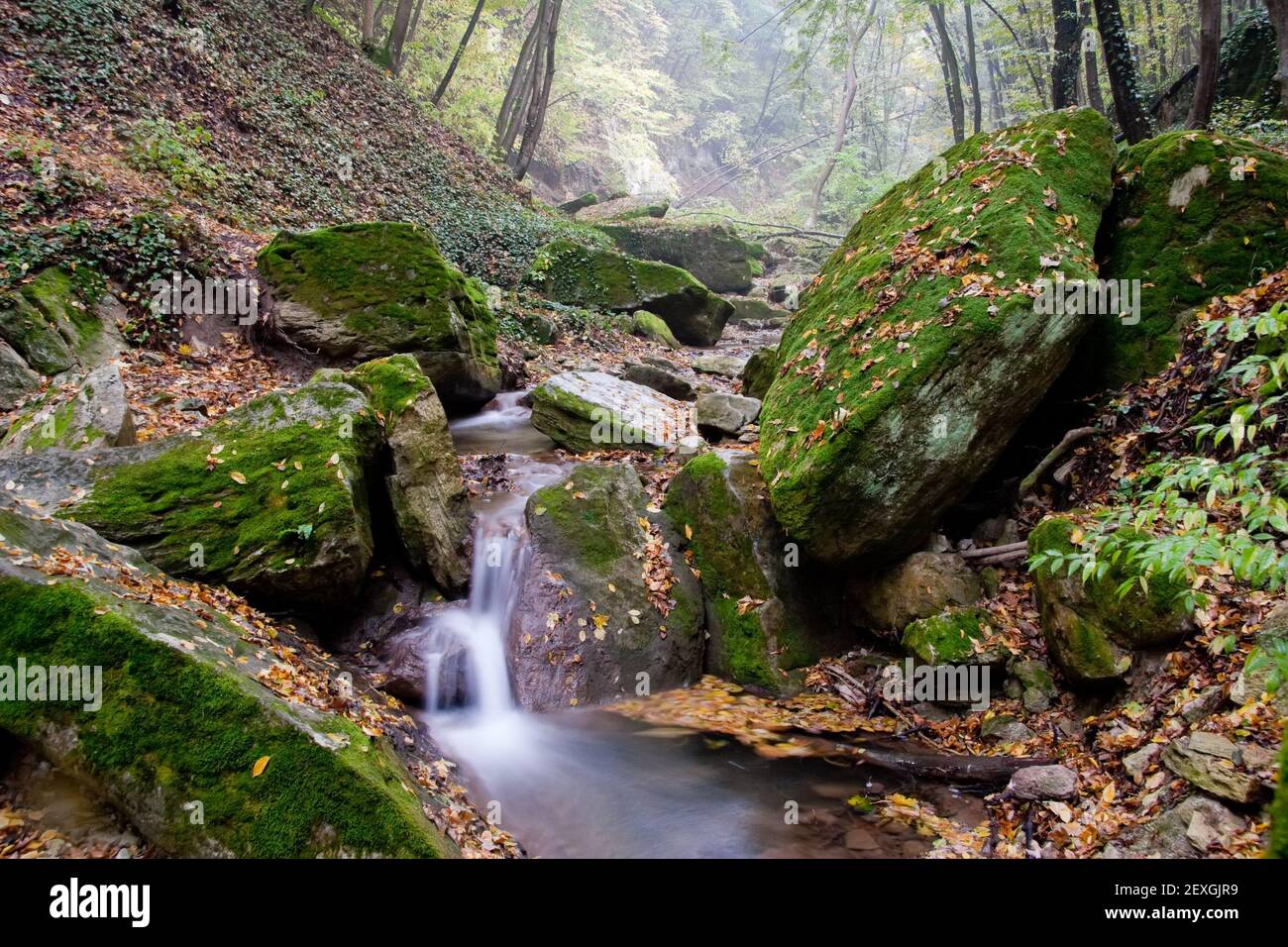 Falling brook hi-res stock photography and images - Alamy