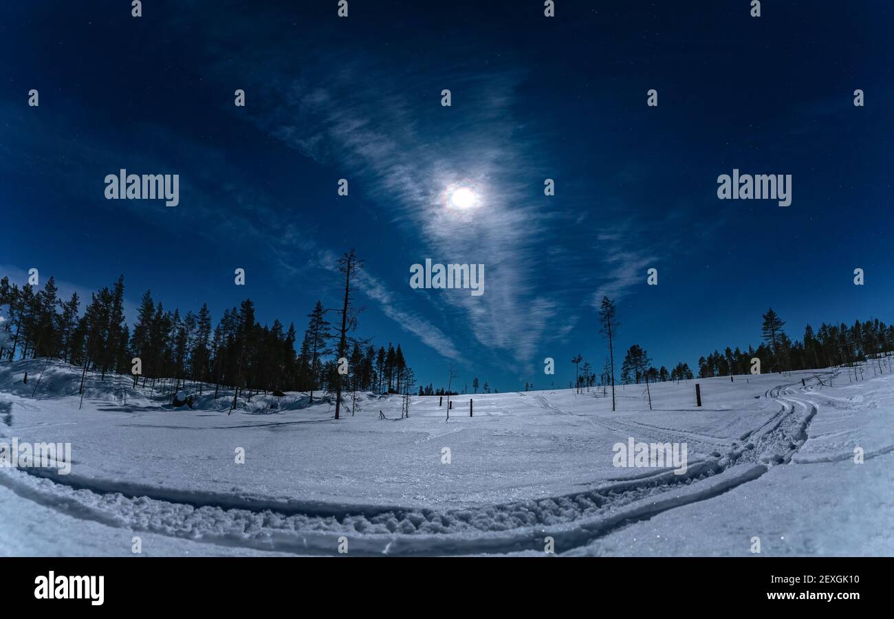 Moon pine tree forest sky hi-res stock photography and images - Alamy