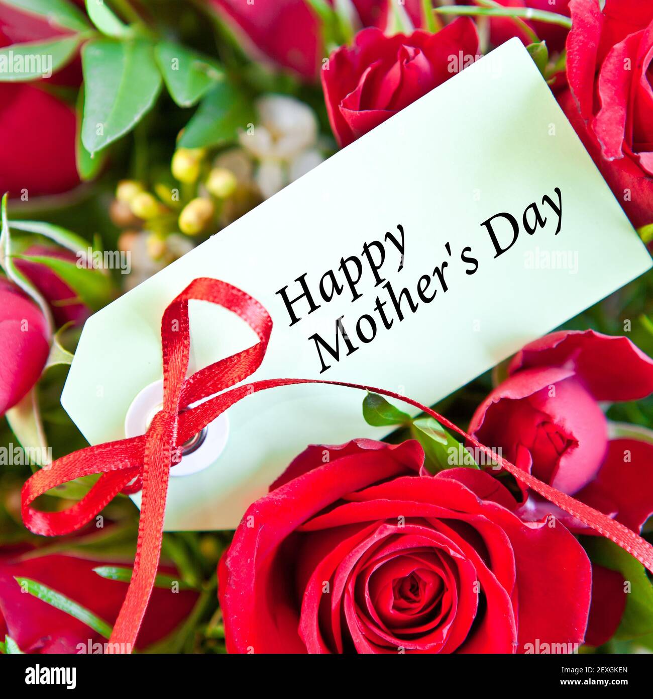 Red Roses for Mother's Day Stock Photo - Alamy