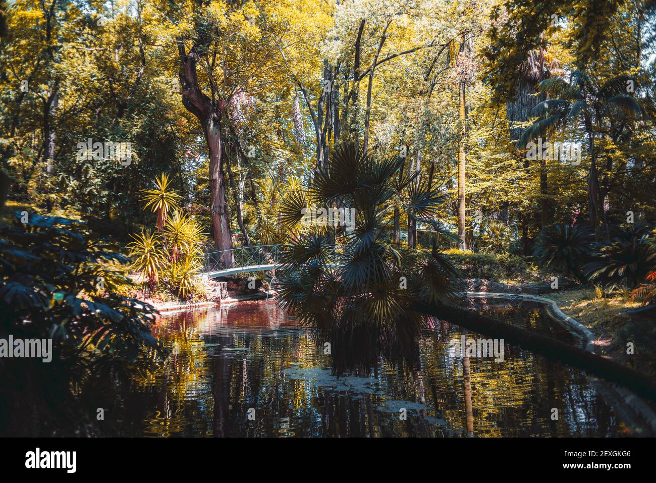 The scenery with a beautiful pond in the shadow of a city park or a ...