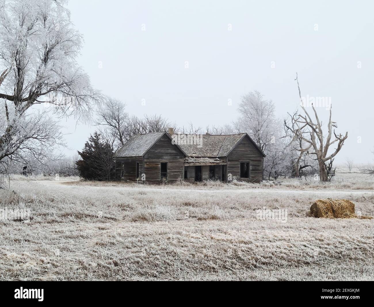 Old Abandoned Homestead in the Dead of Winter Stock Photo - Alamy
