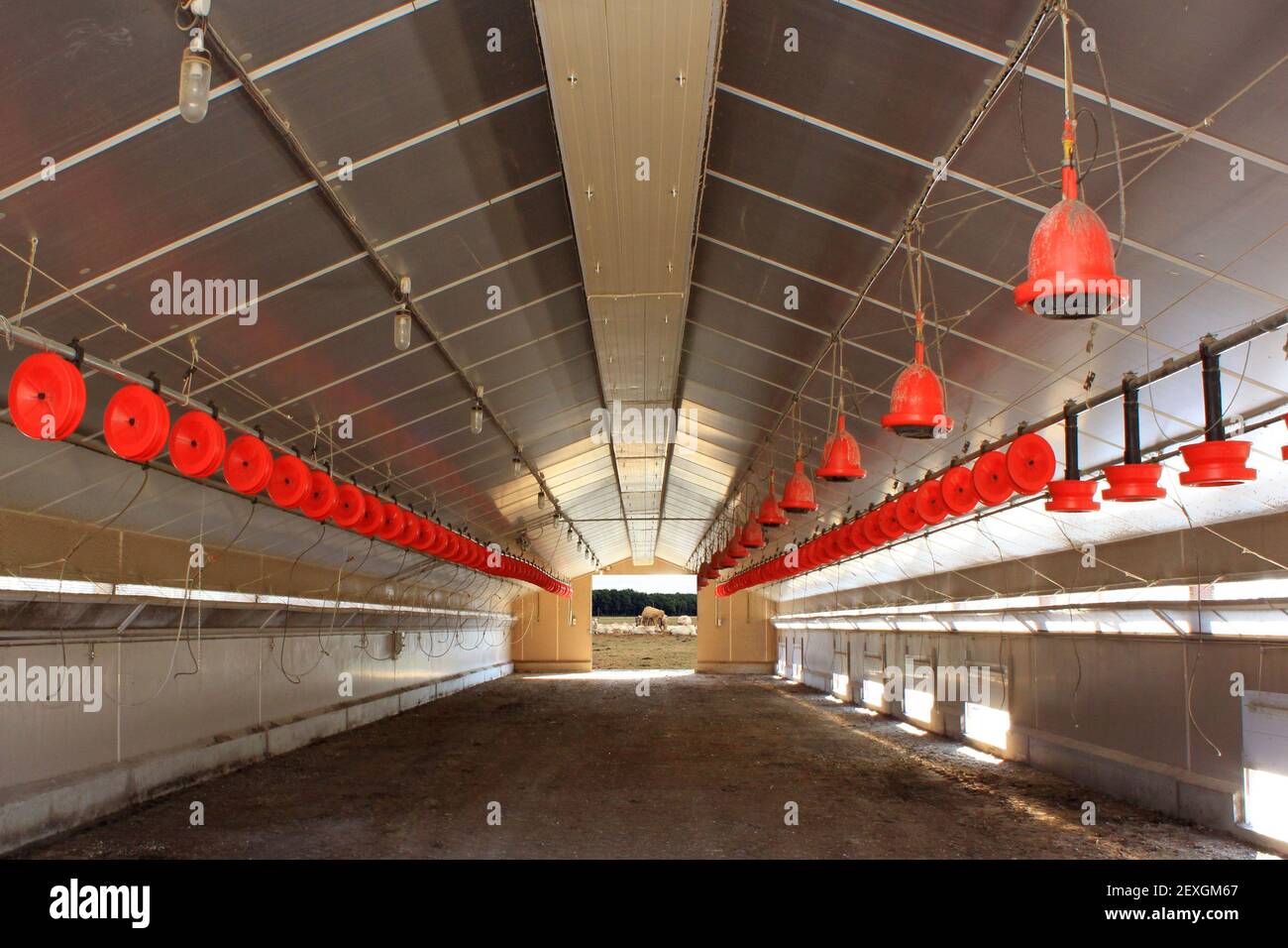 Chicken farm building hi-res stock photography and images - Alamy