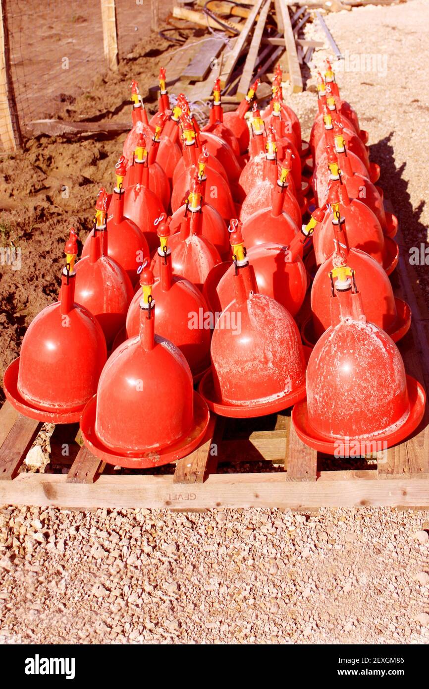 Chicken feeders hi-res stock photography and images - Alamy